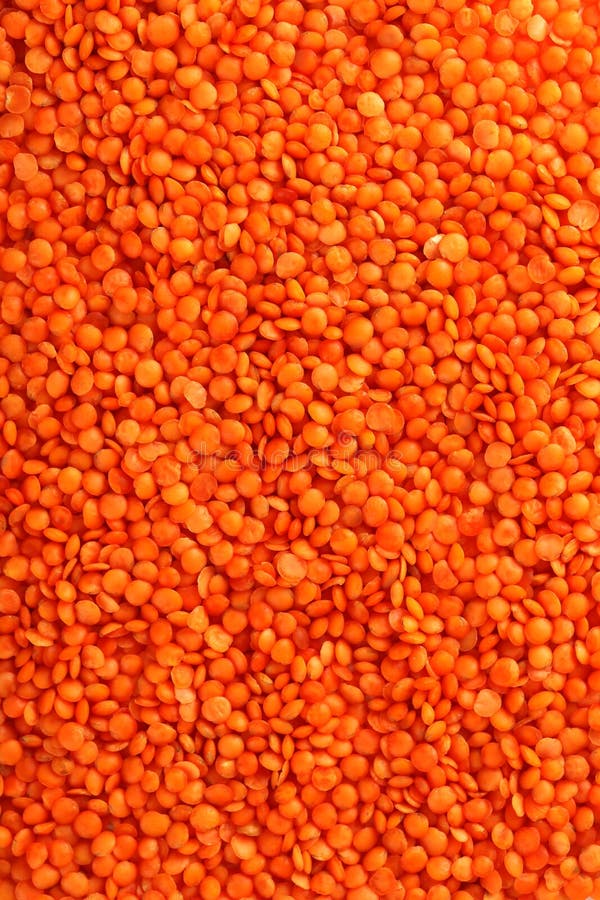 Lentilles rouges image stock. Image du haricot, nutritif - 64332455