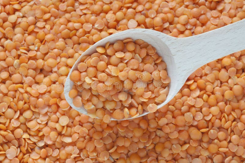 Lentilles Rouges Image. Image: 18735259