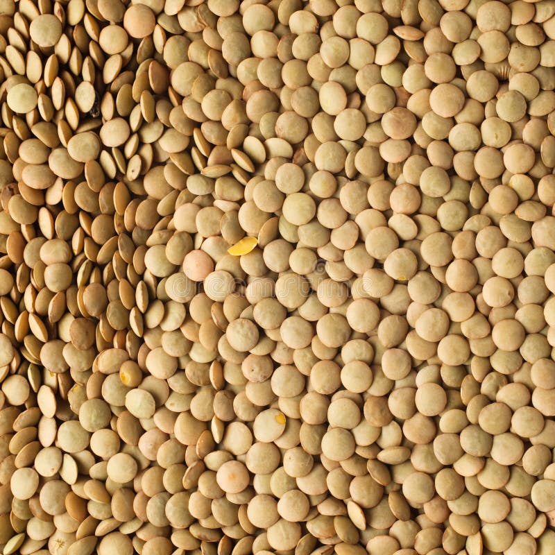 Lentils stock photo. Image of lunch, dish, macro, bean - 29246328