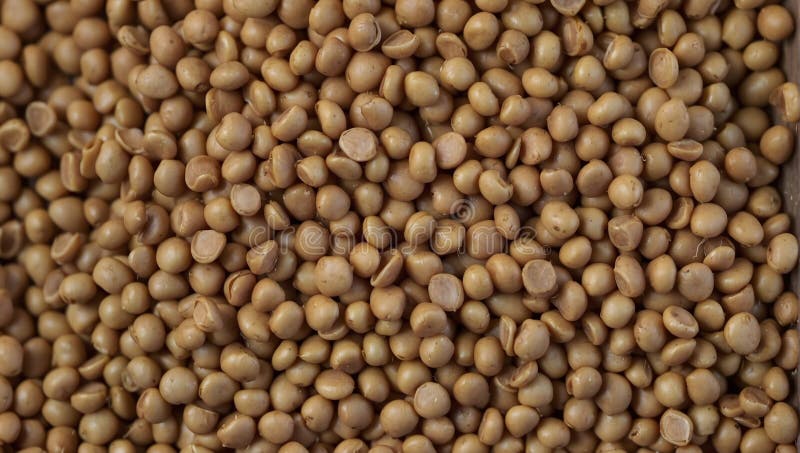 Texture Grain, Legume, Brown Lentil, Food, Ingredient for Cooking Stock ...