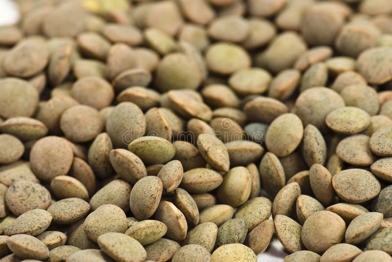 Lentils stock photo. Image of lentils, shovel, pulse - 24894420