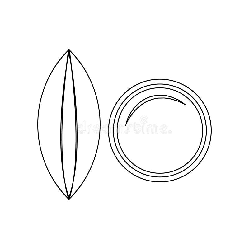 Lentils Stock Illustrations – 481 Lentils Stock Illustrations, Vectors ...