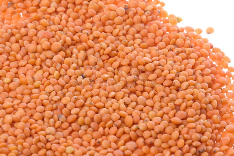 Lentils Isolated stock photo. Image of plant, produce - 6947332