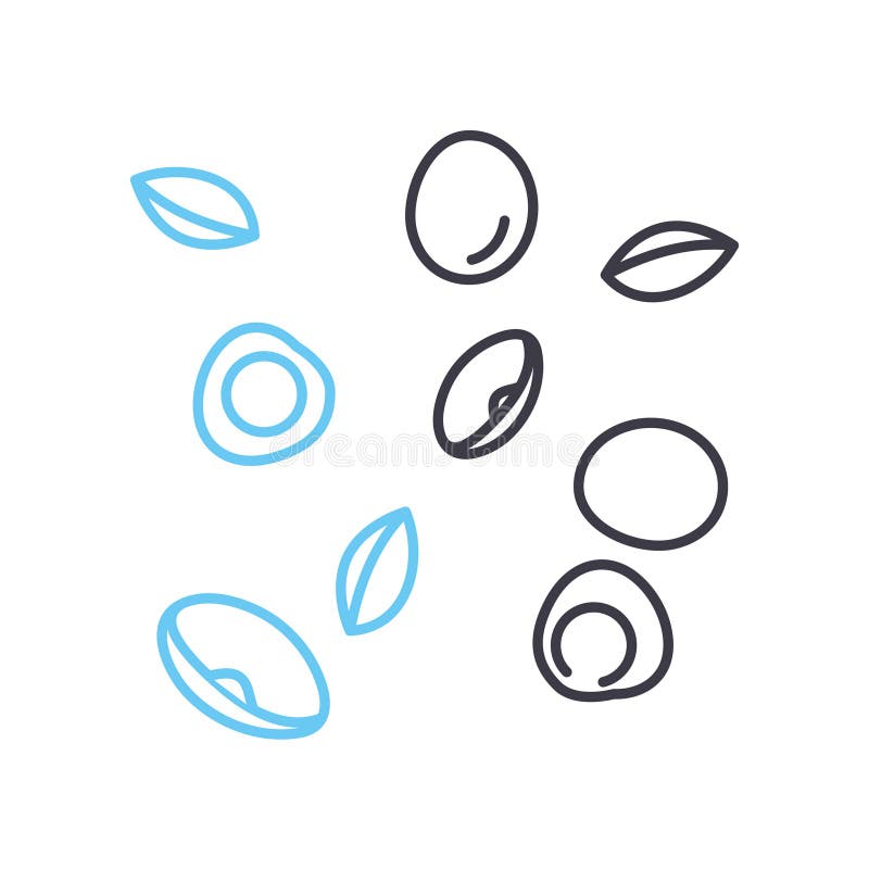 Lentils Lentil Stock Illustrations – 248 Lentils Lentil Stock ...