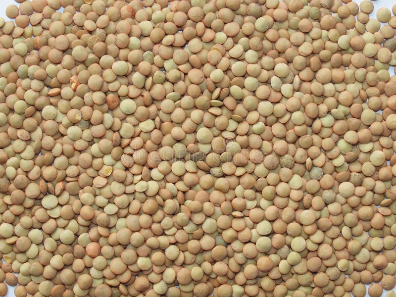 Lentils stock image. Image of cuisine, lentils, healthy - 44264641