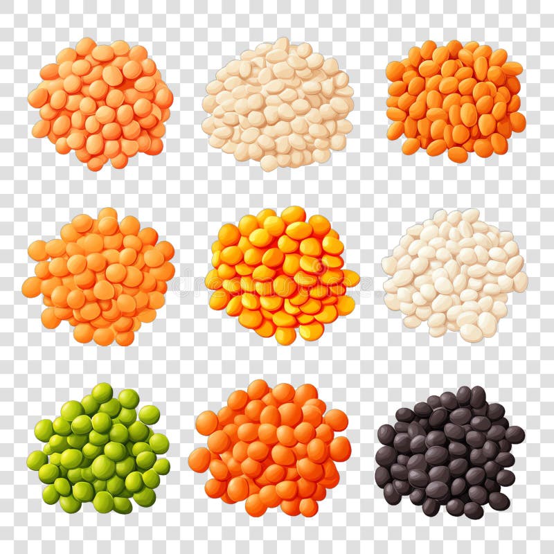 Lentils set illustration stock image. Illustration of chickpeas - 341522853