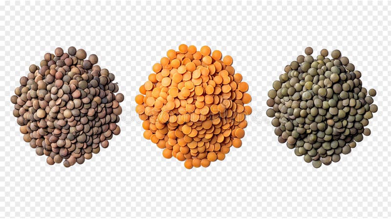 Lentils set stock photo. Illustration of yellow, vegetables - 341481486