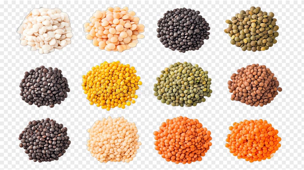 Lentils set stock image. Illustration of bean, couscous - 341522695