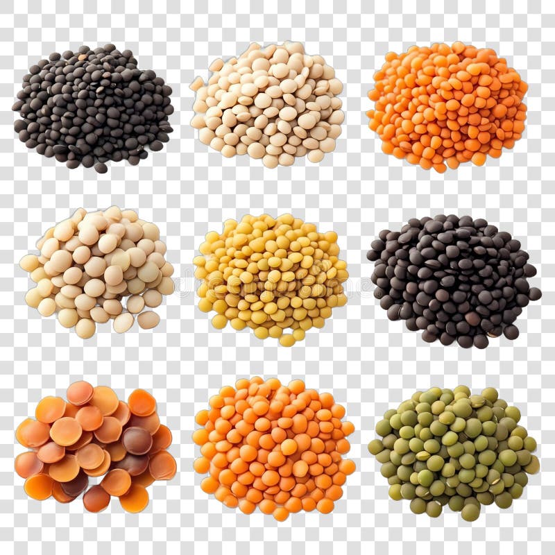 Lentils set stock photo. Illustration of legume, spicey - 341522718