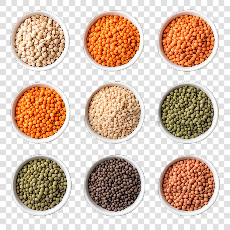 Lentils set stock photo. Illustration of chickpea, legume - 341522734