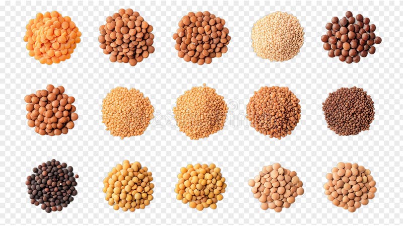 Lentils set stock photo. Illustration of beans, couscous - 341522744