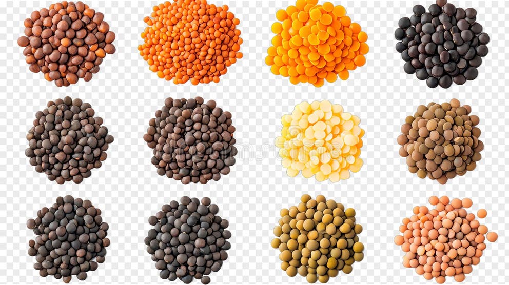 Lentils set stock photo. Illustration of yellow, legumes - 341522796