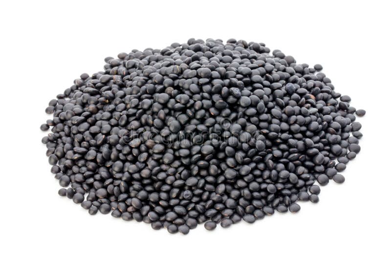 Lentin Beluga. Black Lentins.Isolated on the White Background. Stock ...