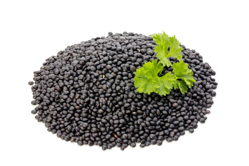 Lentin Beluga Stock Photos - Free & Royalty-Free Stock Photos from ...