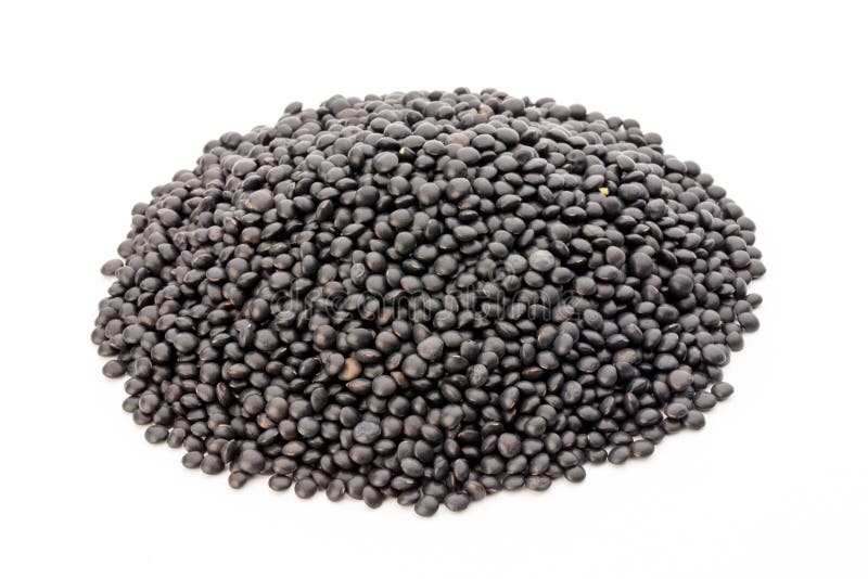 Beluga Lentins Stock Photos - Free & Royalty-Free Stock Photos from ...