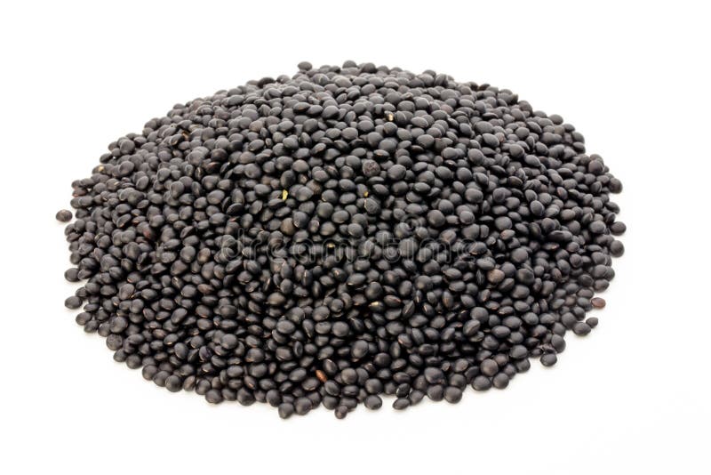 Beluga Lentins Stock Photos - Free & Royalty-Free Stock Photos from ...