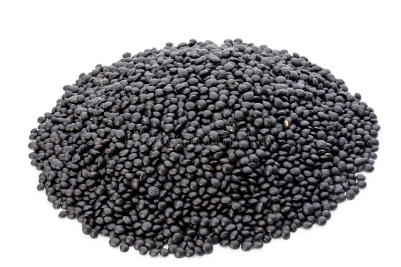 Beluga Lentins Stock Photos - Free & Royalty-Free Stock Photos from ...