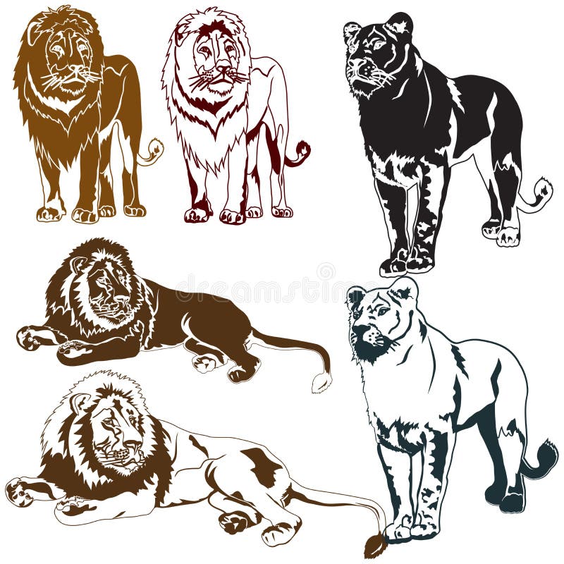 Leona ilustración del vector. Ilustración de tendiente - 8317134