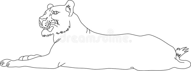 Leona ilustración del vector. Ilustración de tendiente - 8317134