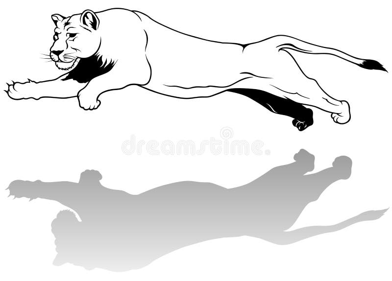 Leona vectorial ilustración del vector. Ilustración de leopardo - 17345629