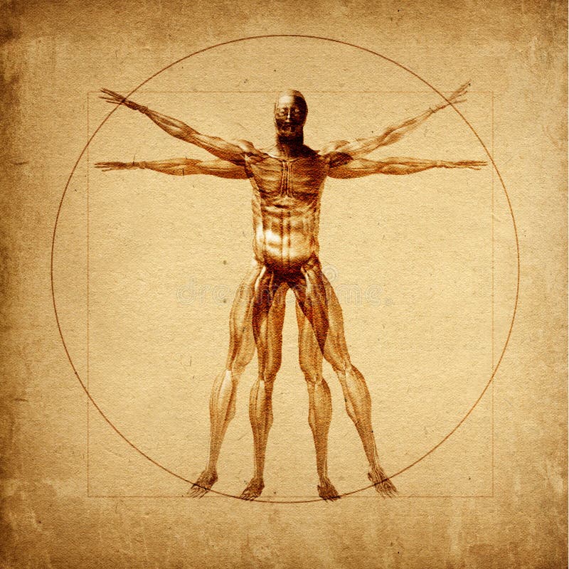 Leonardo s Vitruvian Man stock illustration. Illustration of parts ...