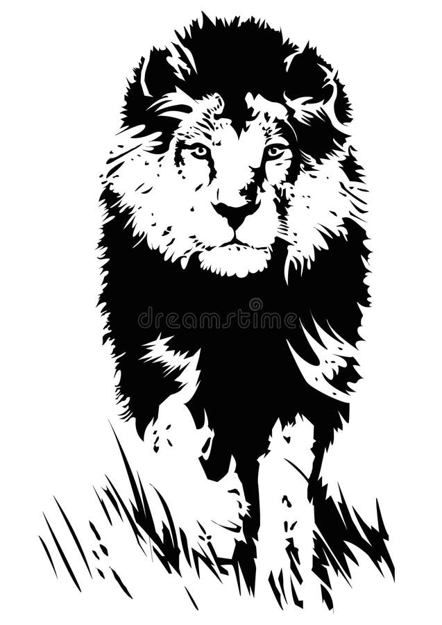 La Zampa Degli Artigli Graffia Il Vettore Isolato Su Fondo Trasparente ...