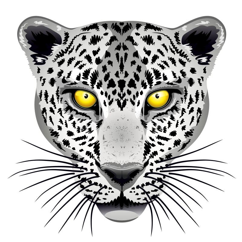 Snow Leopard Head Face Vector Illustration Clipart Animal Stock Vector ...