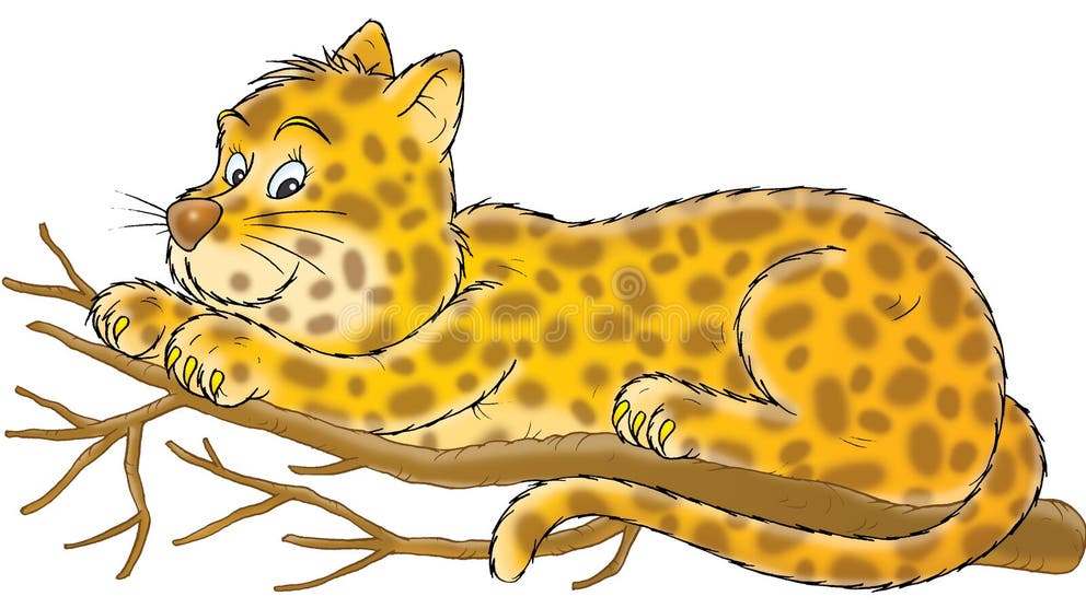 Leopard Smile Stock Illustrations – 2,695 Leopard Smile Stock ...