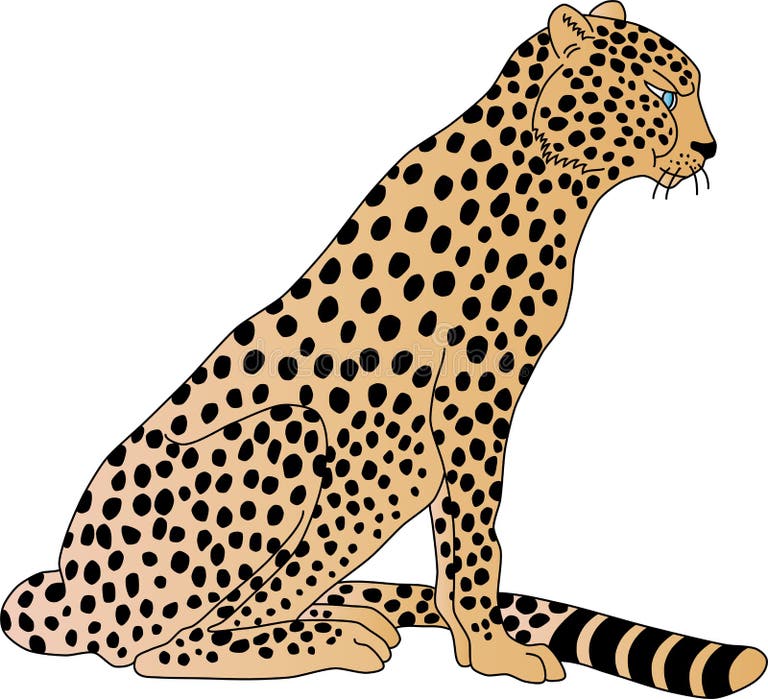 Sitting Leopard Stock Illustrations – 3,590 Sitting Leopard Stock ...