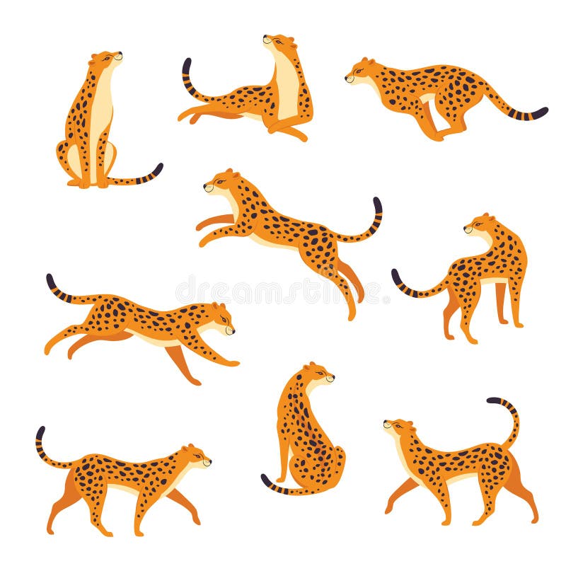 Running Leopard As Wild Cat with Long Spotted Body Vector Illustration ...