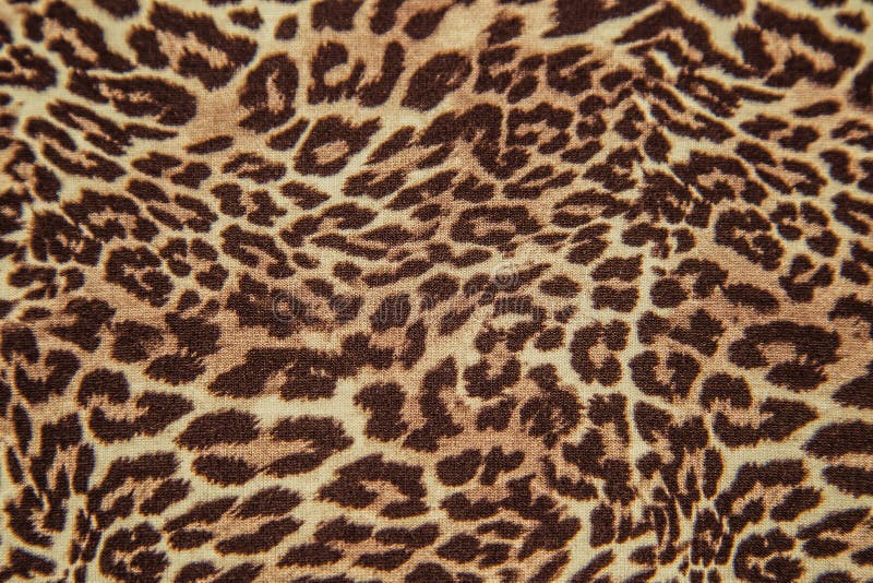 Leopard Background Pattern, Animal Print, Leopard Textile Design ...