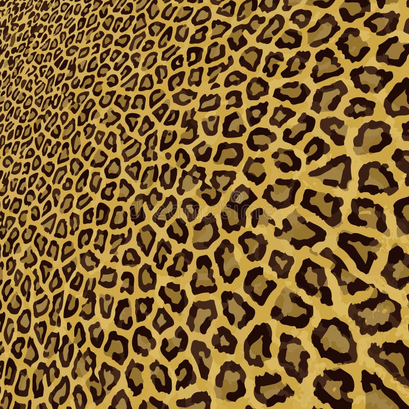 Leopard Background for Your Design Stock Illustration - Illustration of ...