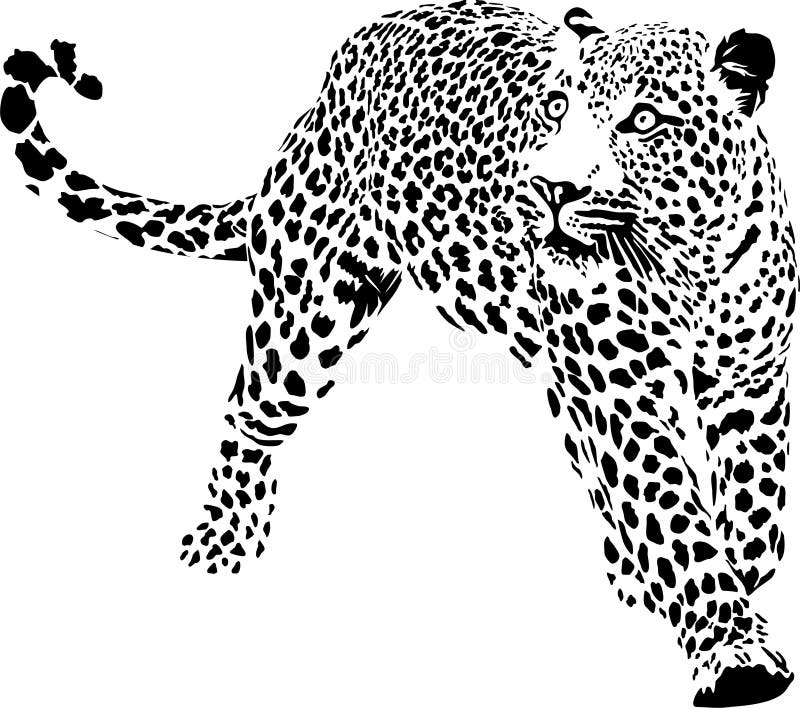 Leopard Outline Clipart