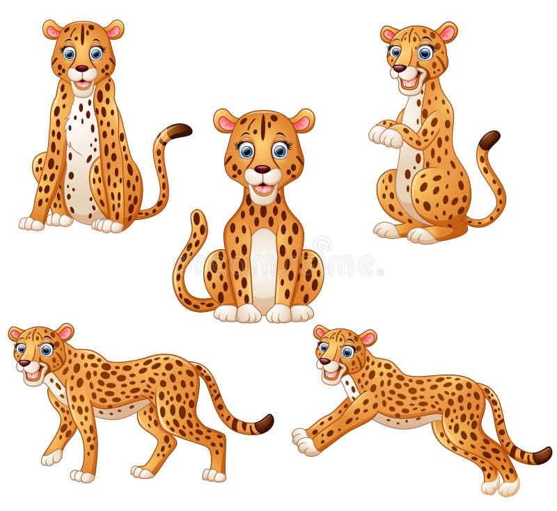 Leopard Cartoon Set Collection Stock Vector - Illustration of cheerful ...