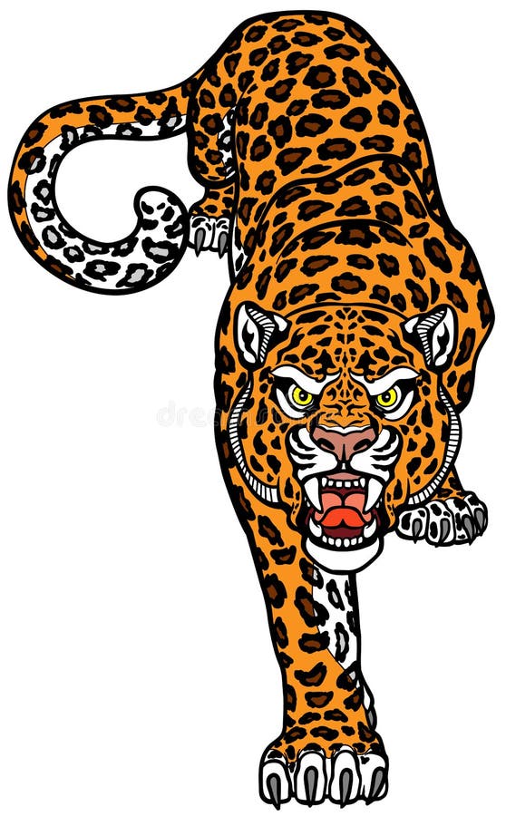 Leopard Crawl Stalking. Front View Stock Vector - Illustration of ...