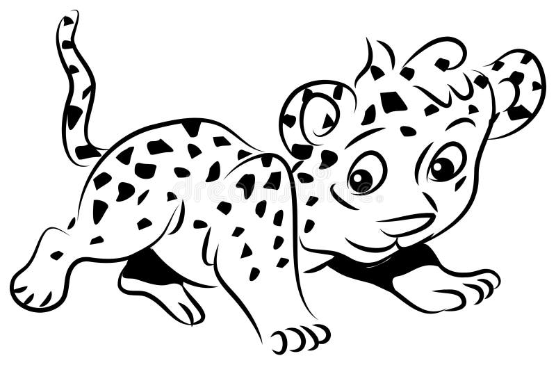 Leopard CUB vektor abbildung. Illustration von öffnung - 88267381