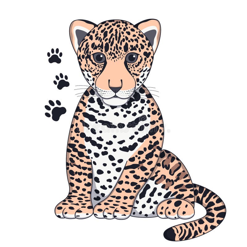 Leopard Cub is a Wild Predatory Animal. Stock Vector - Illustration of ...