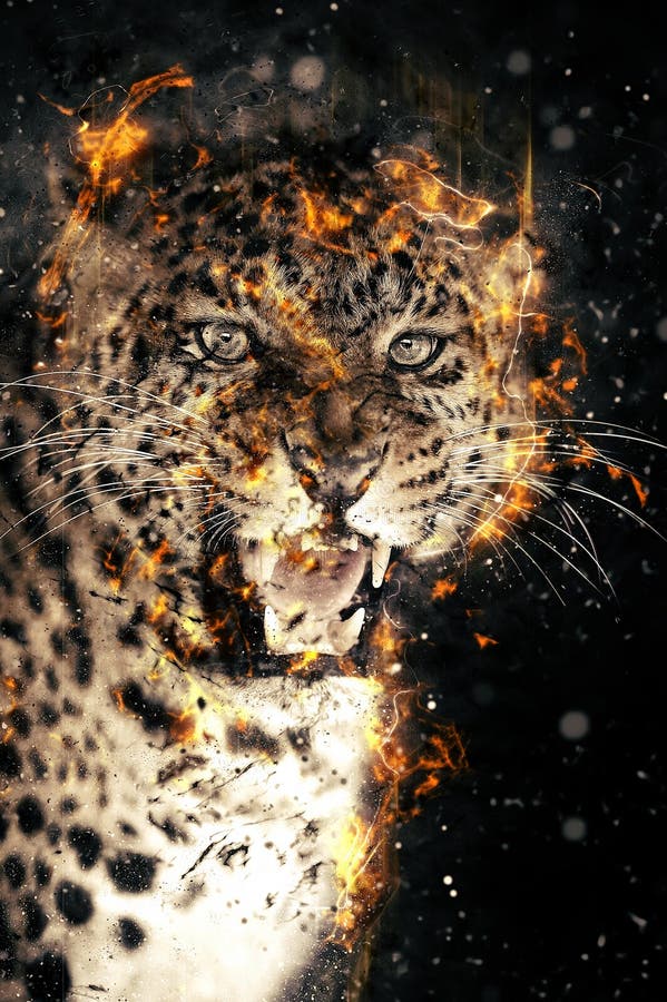 Leopard roar stock image. Image of dotted, calling, block - 18131391