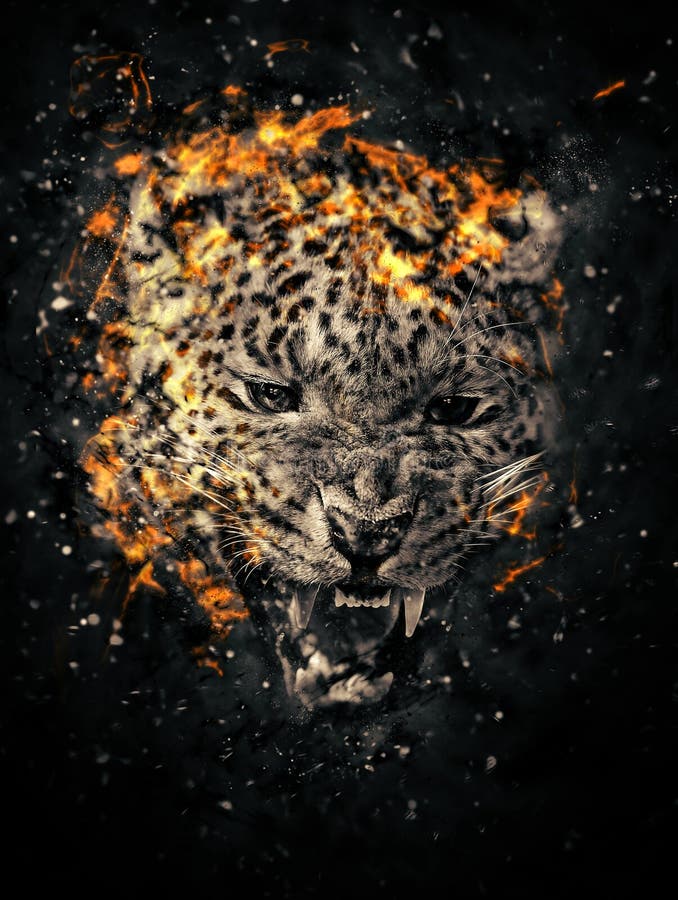 Leopard in fire stock photo. Image of feline, looking - 52446990