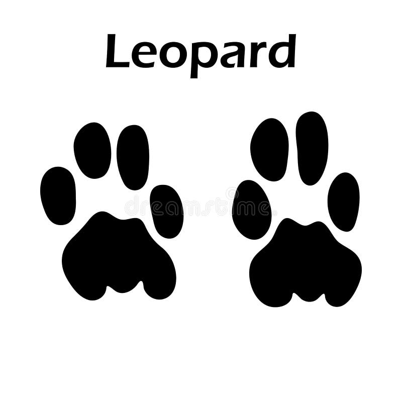 Cheetah Footprint-Animal Tracks Sign Stock Vector - Illustration of ...