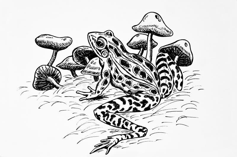 Leopard frog and mushrooms stock illustration. Illustration of marsh ...