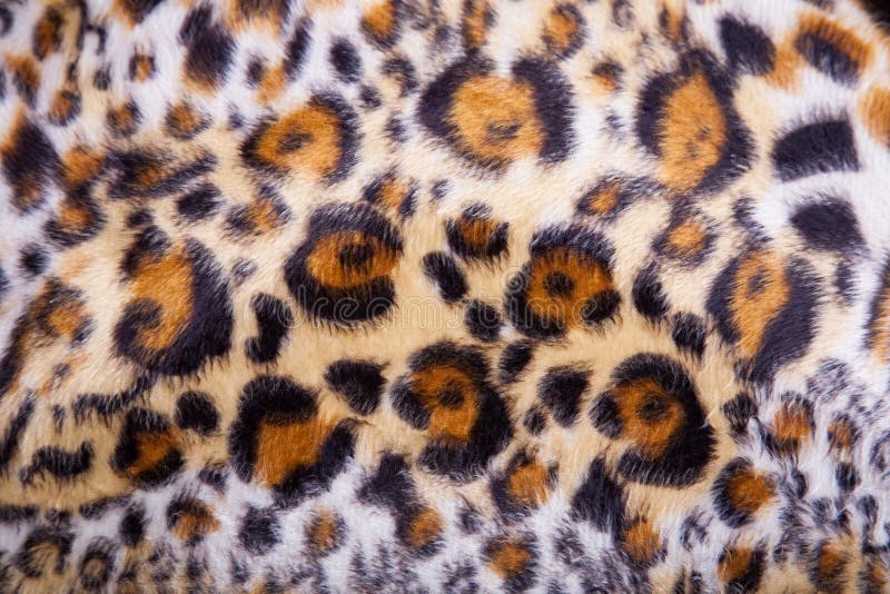Leopard Fur background stock photo. Image of animal, spot - 16231556