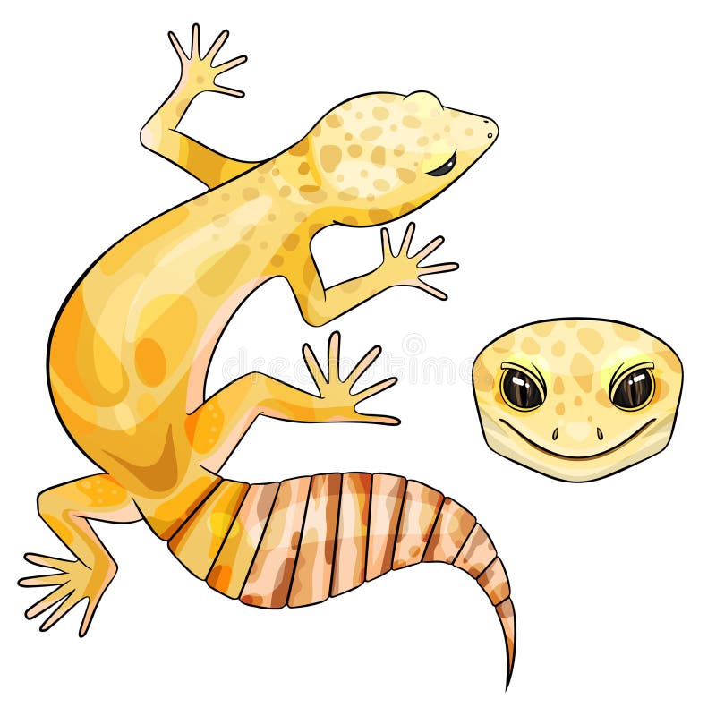 Gecko Lizard Clipart