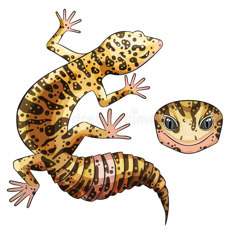 Leopard Gecko (Eublepharis Maculatus) AI Generated Stock Illustration ...