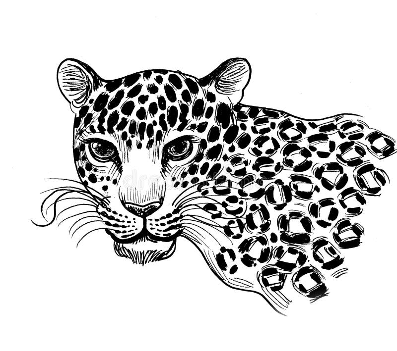 Leopard head stock illustration. Illustration of leopard - 234376927