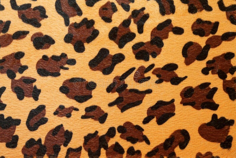 Leopard hide stock photo. Image of animal, hairy, pattern - 6351106