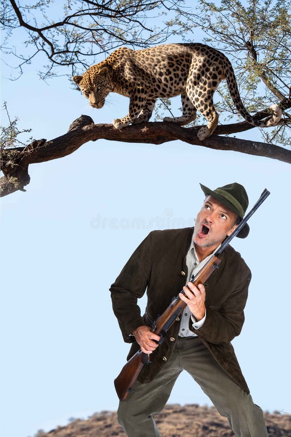 Leopard hunter stock photo. Image of blue, branch, wildlife - 29600592