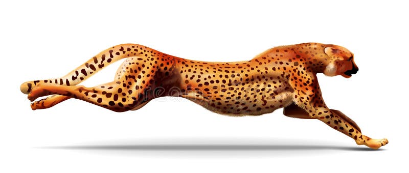 Leopard in a Jump. Vector Illustration. Stock Vector - Illustration of ...