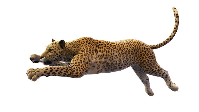 Big Cat Leaping Stock Illustrations – 936 Big Cat Leaping Stock ...