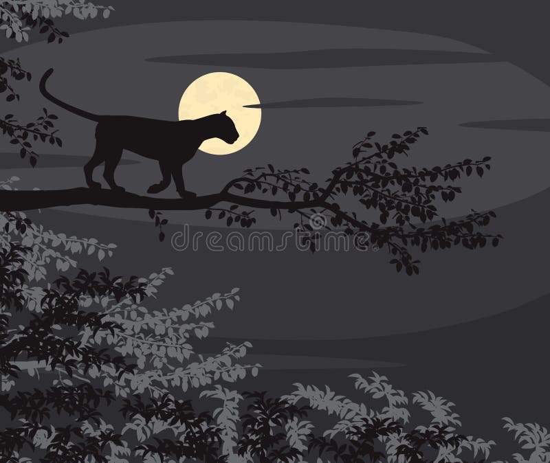 Leopard moon stock vector. Illustration of silhouette - 51823096